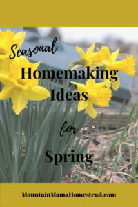 Seasonal Homemaking Ideas for Spring - Mountain Mama Homestead